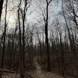 Bloodroot Trail, Indiana - 581 Reviews, Map | AllTrails