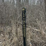 Bloodroot Trail, Indiana - 585 Reviews, Map | AllTrails