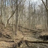 Bloodroot Trail, Indiana - 660 Reviews, Map | AllTrails