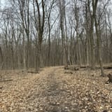 Bloodroot Trail, Indiana - 601 Reviews, Map | AllTrails