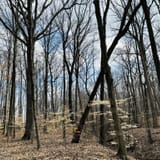 Bloodroot Trail, Indiana - 660 Reviews, Map | AllTrails