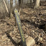 Bloodroot Trail, Indiana - 660 Reviews, Map | AllTrails