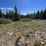 Lost Lake Trail, New Mexico - 287 Reviews, Map | AllTrails
