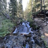 Lost Lake Trail, New Mexico - 287 Reviews, Map | AllTrails