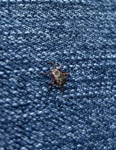 Best Hikes and Trails in Monck Provincial Park | AllTrails