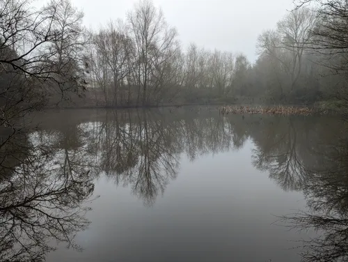 Best Hikes and Trails in Robin Wood | AllTrails