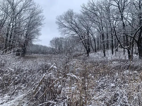 Best Hikes and Trails in Palos Forest Preserves | AllTrails