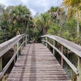 Indrio Savannahs Preserve, Florida - 222 Reviews, Map | AllTrails