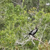 Indrio Savannahs Preserve, Florida - 222 Reviews, Map | AllTrails