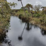 Indrio Savannahs Preserve, Florida - 222 Reviews, Map | AllTrails