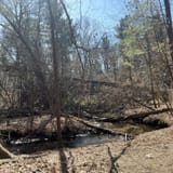 Luton Park Trail, Michigan - 1,610 Reviews, Map | AllTrails
