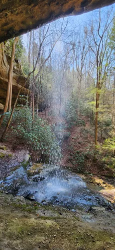 Best Views Trails in Rogers | AllTrails