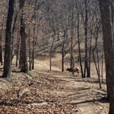 White Bison Loop, Missouri - 2,287 Reviews, Map | AllTrails