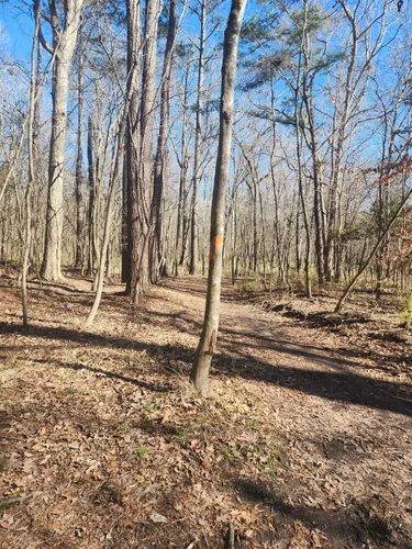 Best Hikes and Trails in North Charleston Wannamaker County Park ...