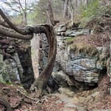 Stone Door Trail, Tennessee - 1,481 Reviews, Map | AllTrails