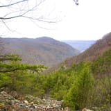 Thousand Steps, Pennsylvania - 1,281 Reviews, Map | AllTrails