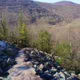 Thousand Steps, Pennsylvania - 1,281 Reviews, Map | AllTrails