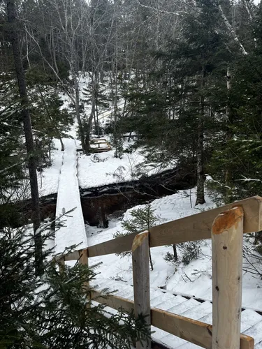 Best Trail Running Trails in Debert | AllTrails