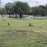 Key West Cycling Loop, Florida - 418 Reviews, Map | AllTrails