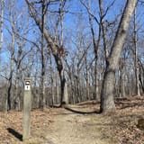 White Bison Loop, Missouri - 2,287 Reviews, Map | AllTrails