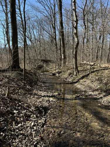 Best Hikes and Trails in Waldron | AllTrails