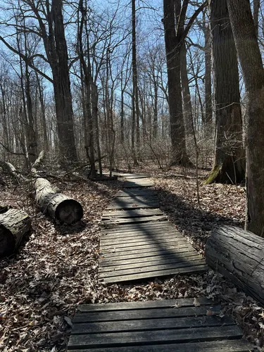 Best Hikes and Trails in Waldron | AllTrails