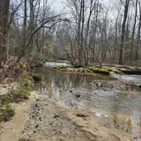 Poor Farm Park Trails, Virginia - 639 Reviews, Map | AllTrails