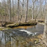 Poor Farm Park Trails, Virginia - 639 Reviews, Map | AllTrails