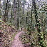 Council Crest via Marquam Trail, Oregon - 2,022 Reviews, Map | AllTrails