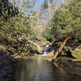 Kelly's Run Loop Trail, Pennsylvania - 3,276 Reviews, Map | AllTrails