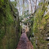 Rock City Trail, West Virginia - 462 Reviews, Map | AllTrails