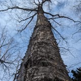 Mount Hunger via Waterbury Trail, Vermont - 1,442 Reviews, Map | AllTrails