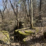 Blowing Springs Park Extended Loop, Arkansas - 1,616 Reviews, Map ...