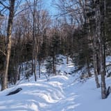 Mount Hunger via Waterbury Trail, Vermont - 1,442 Reviews, Map | AllTrails