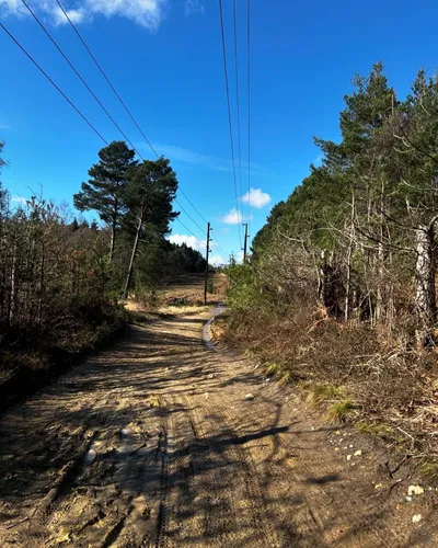 Best Hikes and Trails in Bracknell Forest | AllTrails