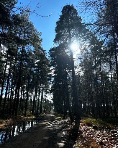 Best Hikes and Trails in Bracknell Forest | AllTrails