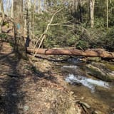 Kelly's Run Loop Trail, Pennsylvania - 3,276 Reviews, Map | AllTrails