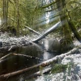 Stimpson Nature Preserve, Washington - 842 Reviews, Map | AllTrails