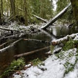 Stimpson Nature Preserve, Washington - 842 Reviews, Map | AllTrails