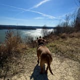 Effigy Tumuli Trail, Illinois - 165 Reviews, Map | AllTrails