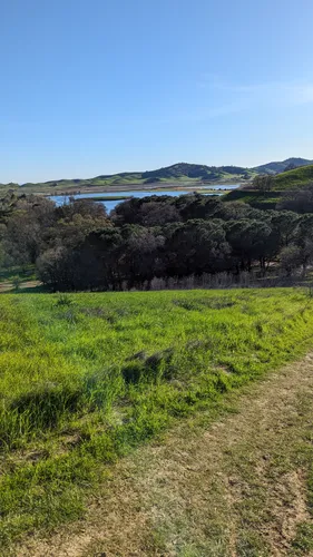 Best Mountain Biking Trails in Lagoon Valley Park/Pena Adobe Park ...