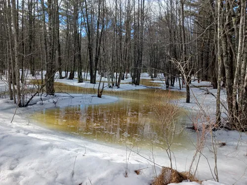 Best Hikes and Trails in Smith Bridge Preserve | AllTrails