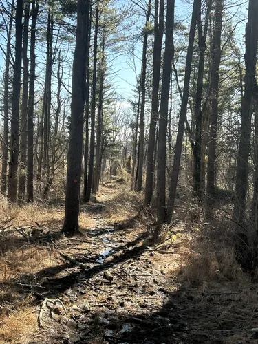 Best Hikes and Trails in Deer Path Park | AllTrails