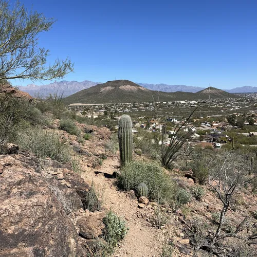 Best Hikes and Trails in Enchanted Hills Park | AllTrails