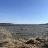 Deere Dike Park, Iowa - 40 Reviews, Map | AllTrails