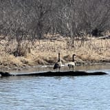 Deere Dike Park, Iowa - 40 Reviews, Map | AllTrails