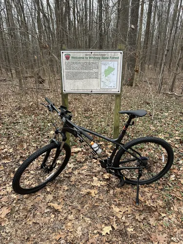 Best Hikes and Trails in Whitney State Forest | AllTrails