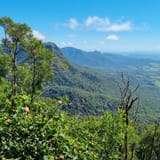 Mount Mitchell Trail, Queensland, Australia - 837 Reviews, Map | AllTrails