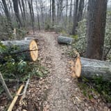 Bacon Ridge Trail: Phase 3, Maryland - 2,308 Reviews, Map | AllTrails