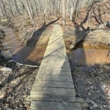 Bacon Ridge Trail: Phase 3, Maryland - 2,308 Reviews, Map | AllTrails
